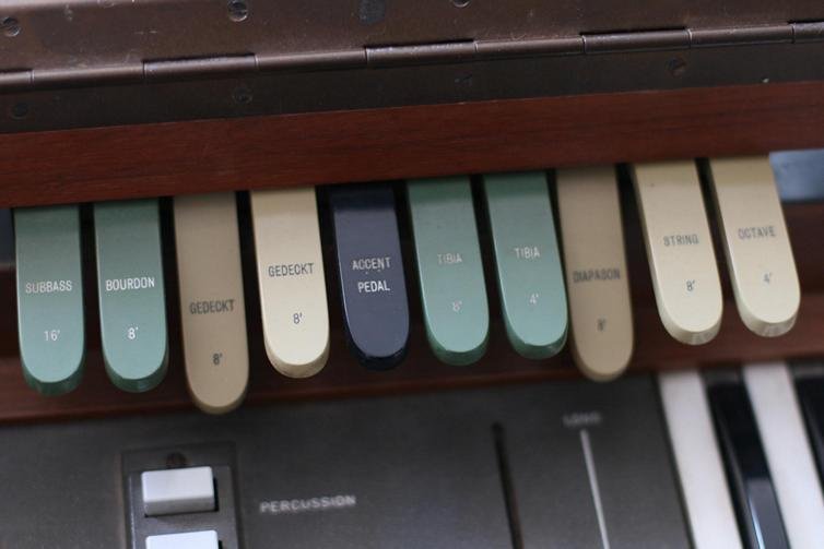 Combo 310 Unique Organ | A Classic Organ | Shop | Reason Studios