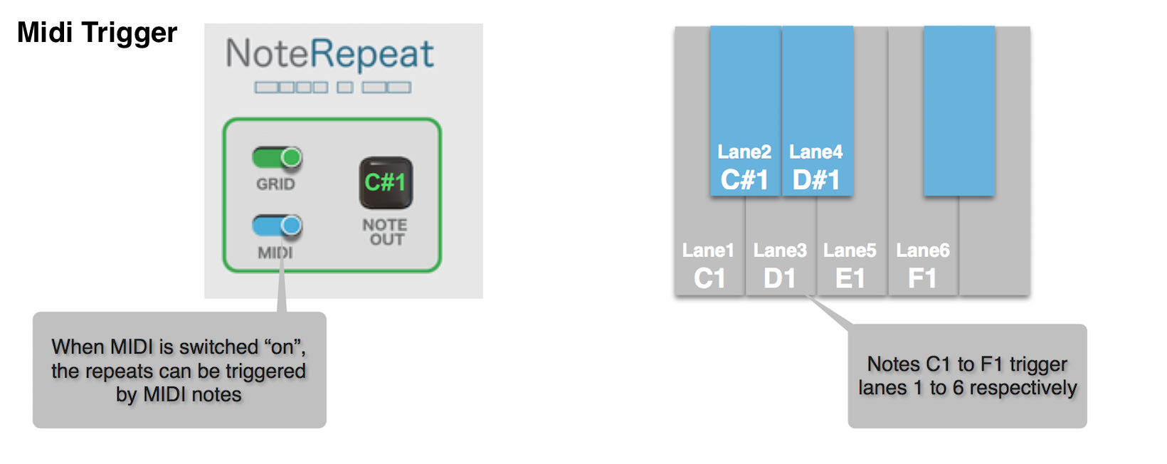 NoteRepeat Player | NoteRepeat Player | Shop | Reason Studios