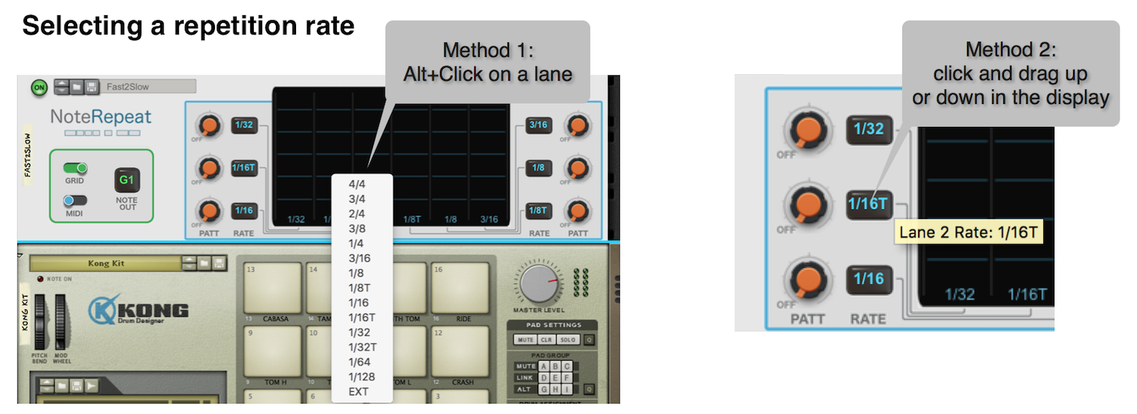 NoteRepeat Player | NoteRepeat Player | Shop | Reason Studios