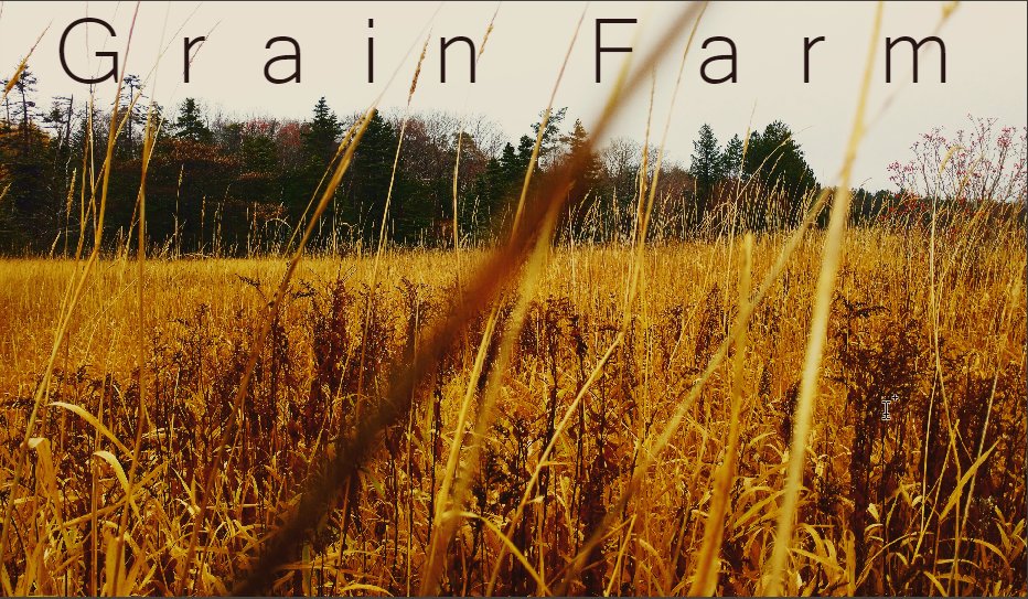 Grain Farm | Patches for Grain | Shop | Reason Studios